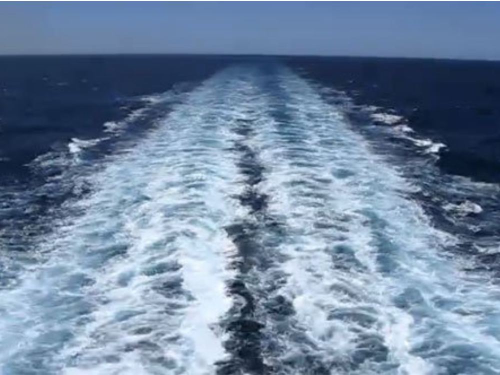 Flemish Cap